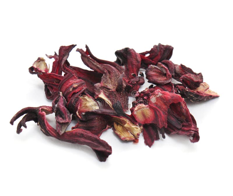 Hibiscus sabdariffa stock photo. Image of herb, prune - 2947050