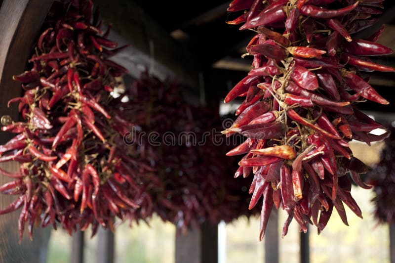 Hanging Strand of Red Chili Peppers Stock Photo - Image of close ...