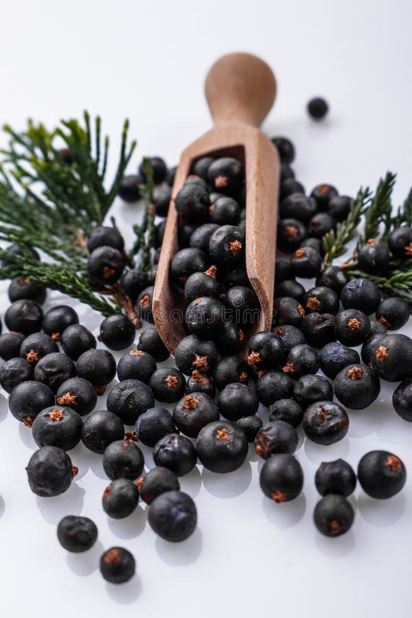 Dried Juniper Berries On A White Background Stock Image - Image of ...