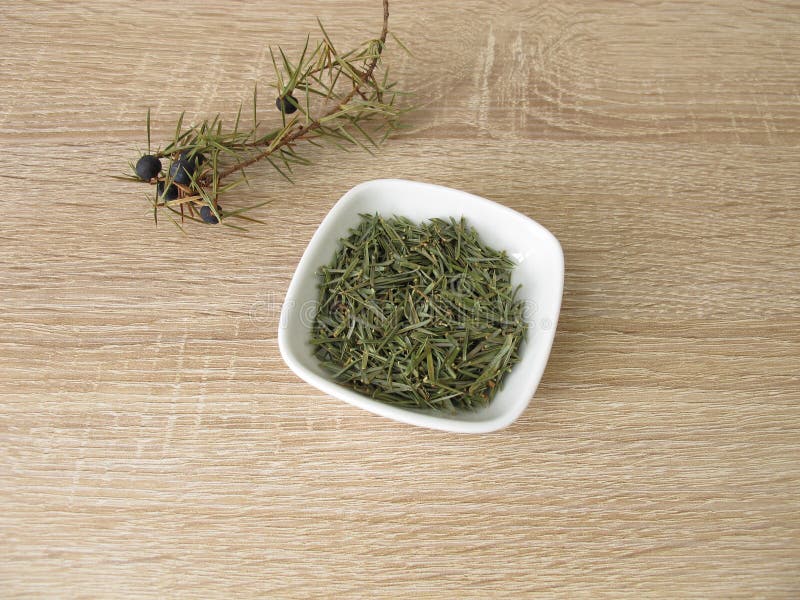 Dried juniper leaves stock image. Image of juniper, additive - 111543939