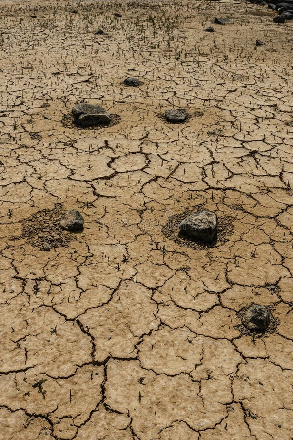 Dried Land with Dead Seashell Around the Rocks Stock Photo - Image of ...