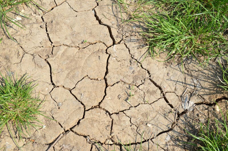 Dried Land with Cracked Ground Stock Photo - Image of climate, global ...