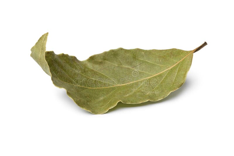 Dried Laurel Leaves on White Background Scattered from a Glass Jar for ... Dried Laurel Leaves on White Background Scattered from a Glass Jar for ...