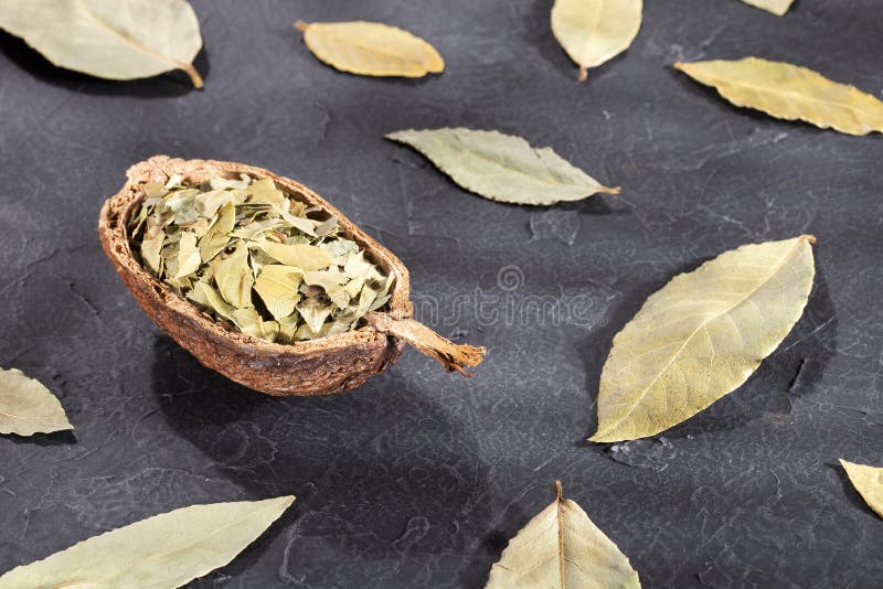 Dried Laurel and Ground Laurel - Laurus Nobilis. Text Space Stock Photo ...