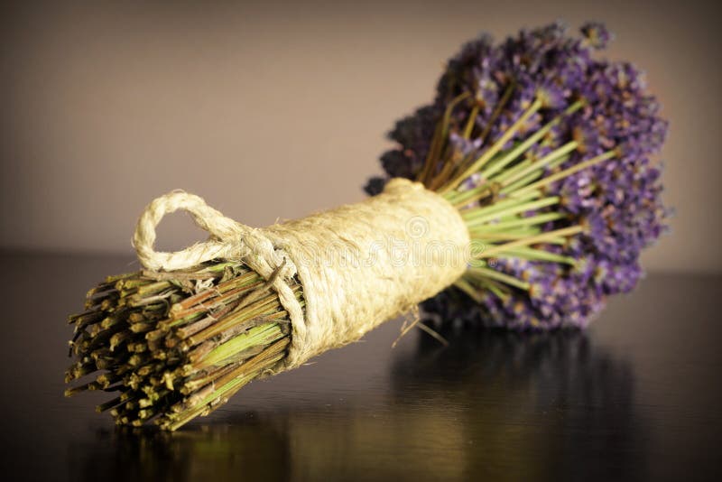 Lavander field stock image. Image of flower, lavender - 7037681