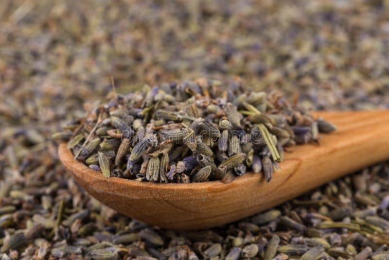 Dried lavender organic tea stock image. Image of nature - 75352829