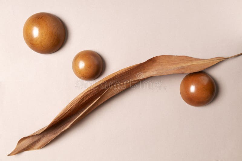 Dried Leaf and Wooden Round Forms for Presentation on the Rown Surface ...