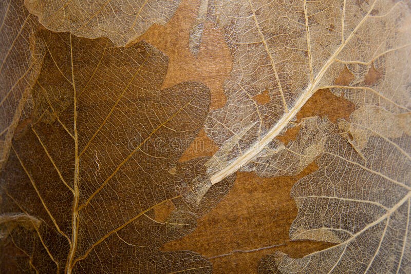 Dried leaves background stock image. Image of abstract - 33015625