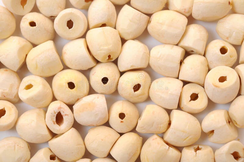 Dried lotus seed stock image. Image of asian, background - 28456359