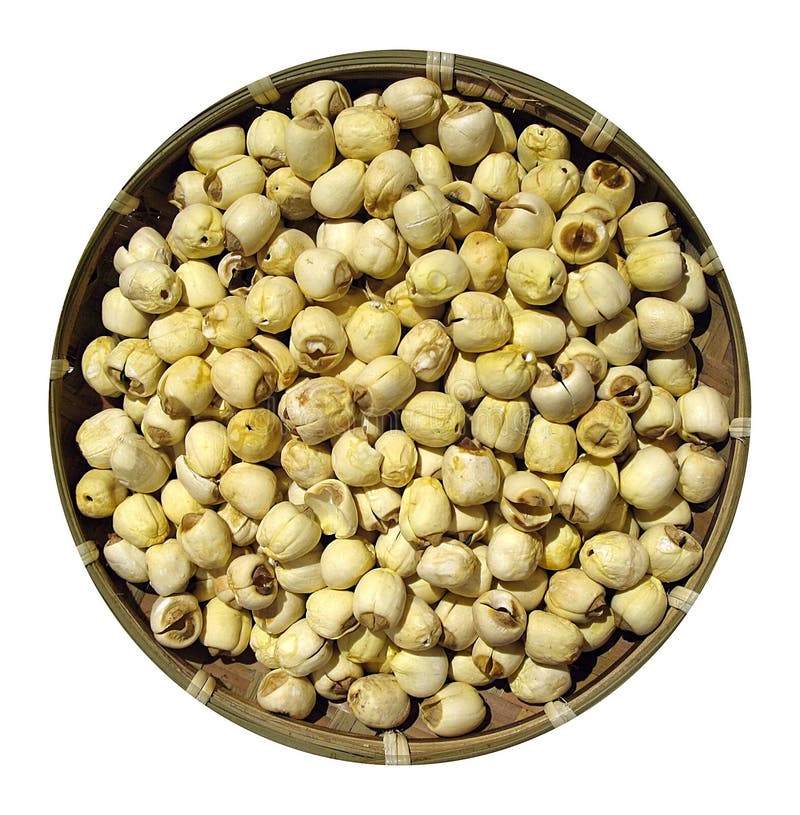 Dried Lotus Seeds stock photo. Image of split, lotus, medicine - 6366276