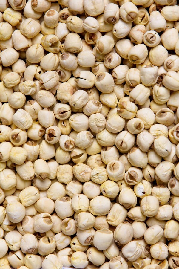 Dried lotus seeds stock image. Image of vegetarian, ripe - 43709615