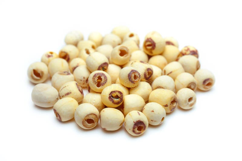 Dried lotus seeds. stock photo. Image of background, bean - 74162386