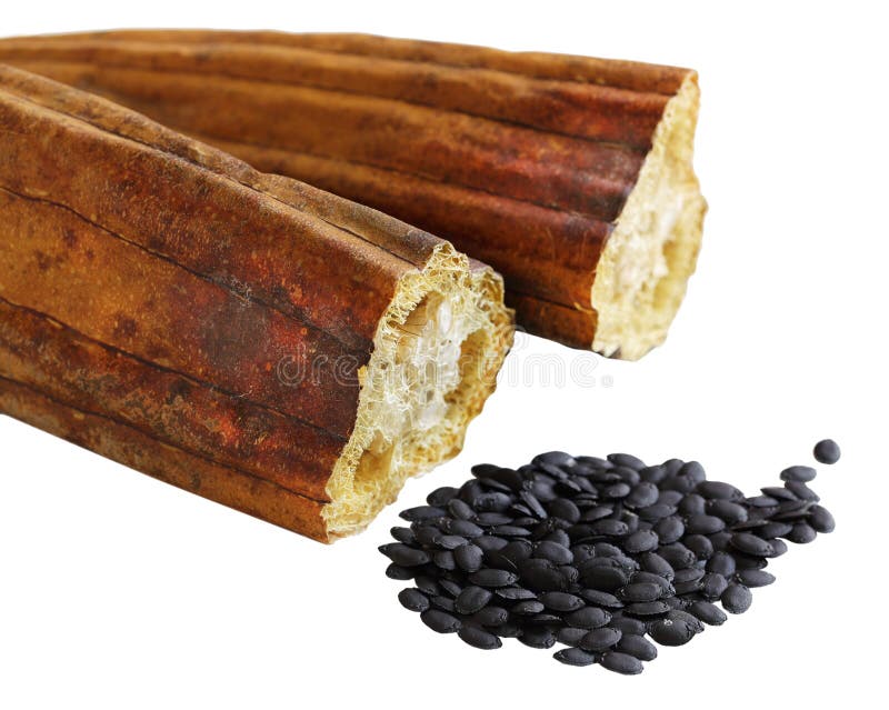 Loofah Luffa stock photo. Image of loofah, food, tasty - 19693964