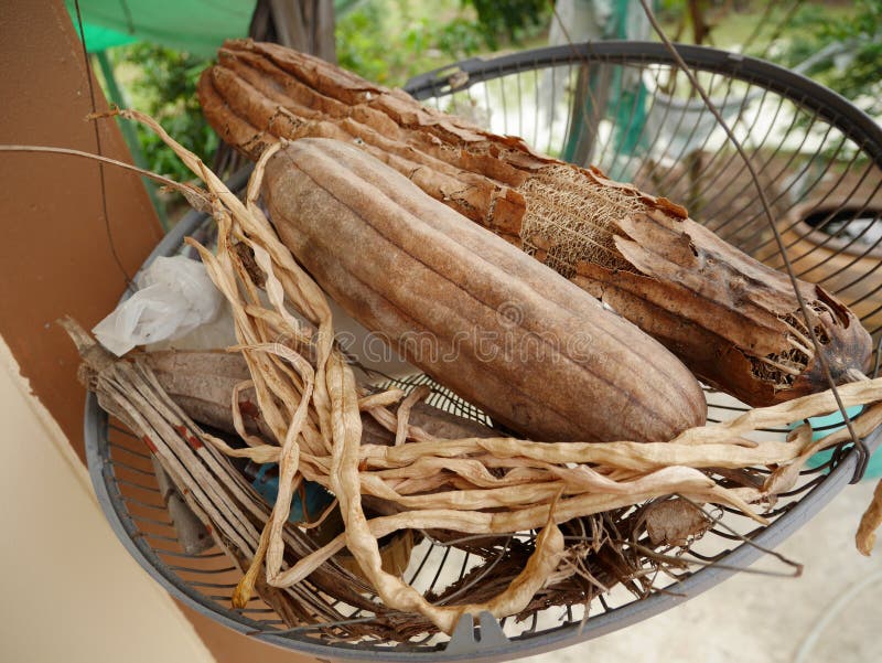 Dried Luffa Gourd Fiber for Bath Textured Background, Bath Pouch Stock ...