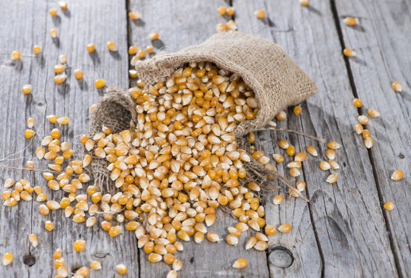 Dried Maize Corn with Leaves Stock Image - Image of organic, crop ...