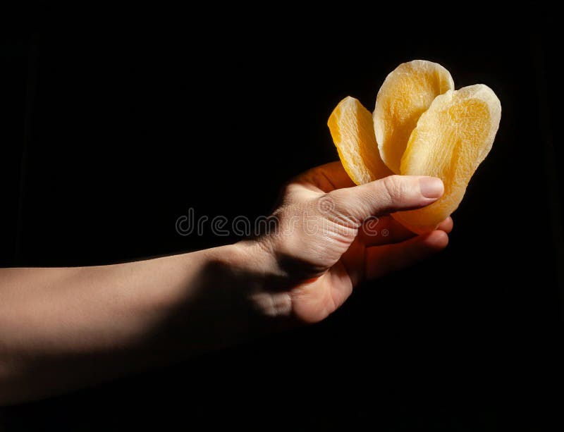 Dried Mango in Hand on Black Stock Image - Image of vivid, background ...