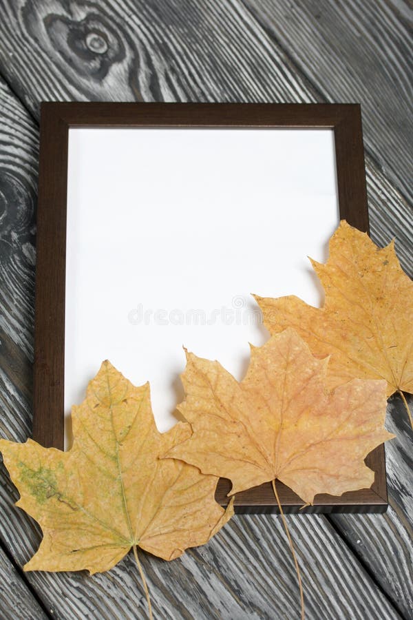 Dried Maple Leaves and Photo Frame. with a Blank Margin for the Image ...