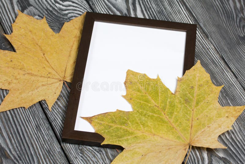 Dried Maple Leaves and Photo Frame. with a Blank Margin for the Image ...