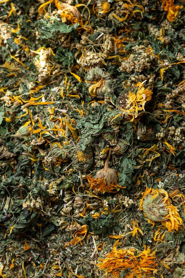 Dried Marigold Flowers and Stem Prepared for Tea Stock Image - Image of ...