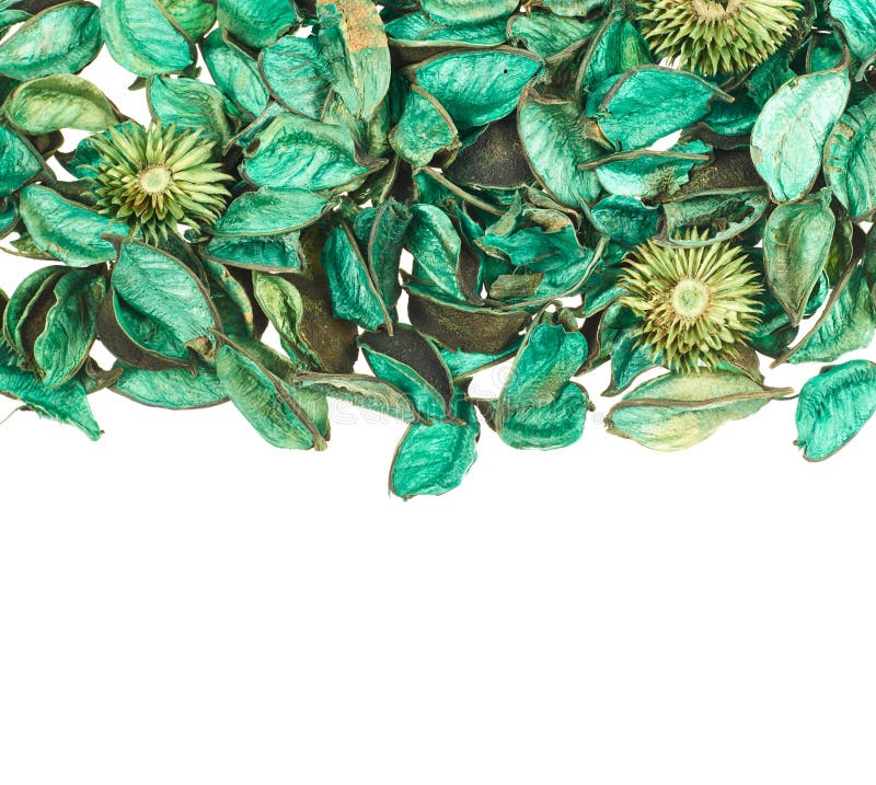 Dried Medley Potpourri Leaves Stock Image - Image of leaf, border: 45408713