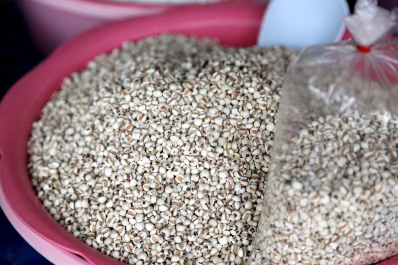 Dried Millet stock image. Image of meal, crop, chinese - 202554815