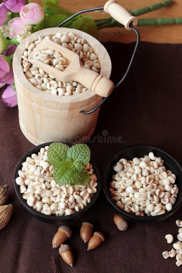 Dried Millet Seeds for Cooking. Stock Image - Image of portion, millet ...