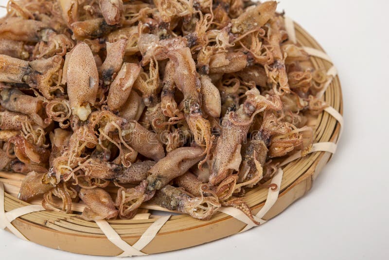 Squids Mini Stock Photos - Free & Royalty-Free Stock Photos from Dreamstime