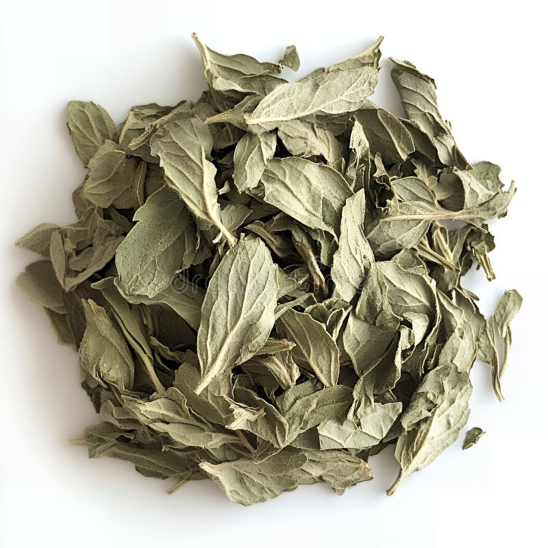 Dried Mint Leaves on a White Background Stock Illustration ...