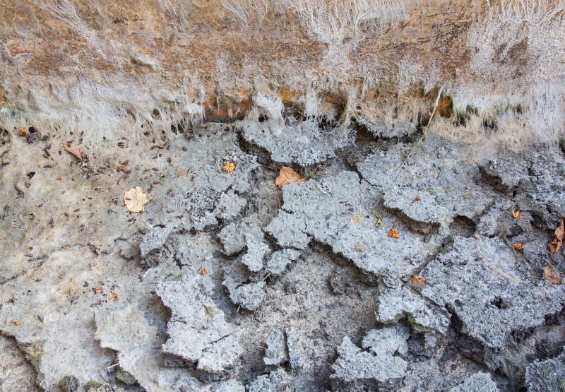 Dried moss and clay stock photo. Image of wall, grass - 39004868