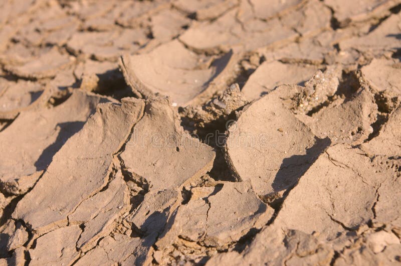 Dried Mud Picture. Image: 1116166