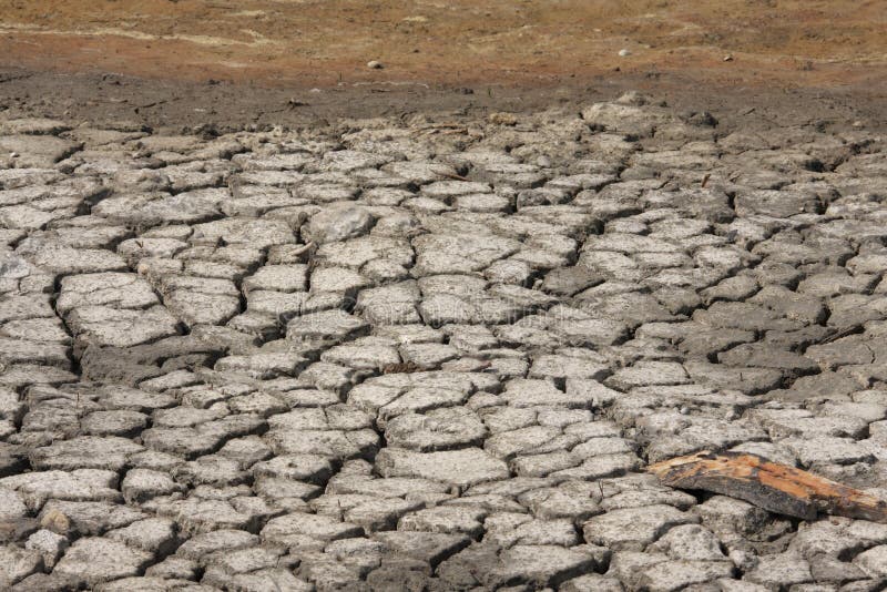 Dried mud stock photo. Image of climate, camargue, sedimentary - 20034090
