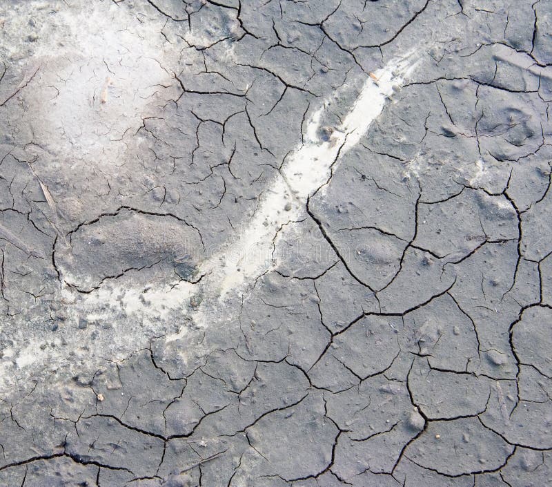 259 Dried Mud Puddle Stock Photos - Free & Royalty-Free Stock Photos ...