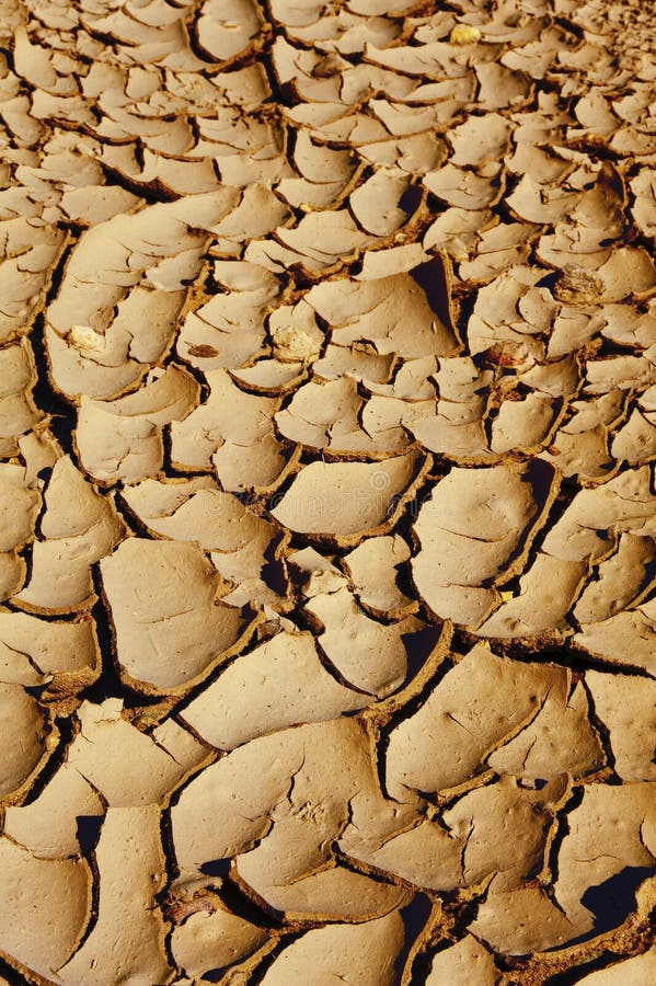 Dried mud background stock image. Image of natural, brown - 74779857