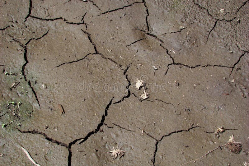 Dried mud stock image. Image of sedimentary, geology - 47565643