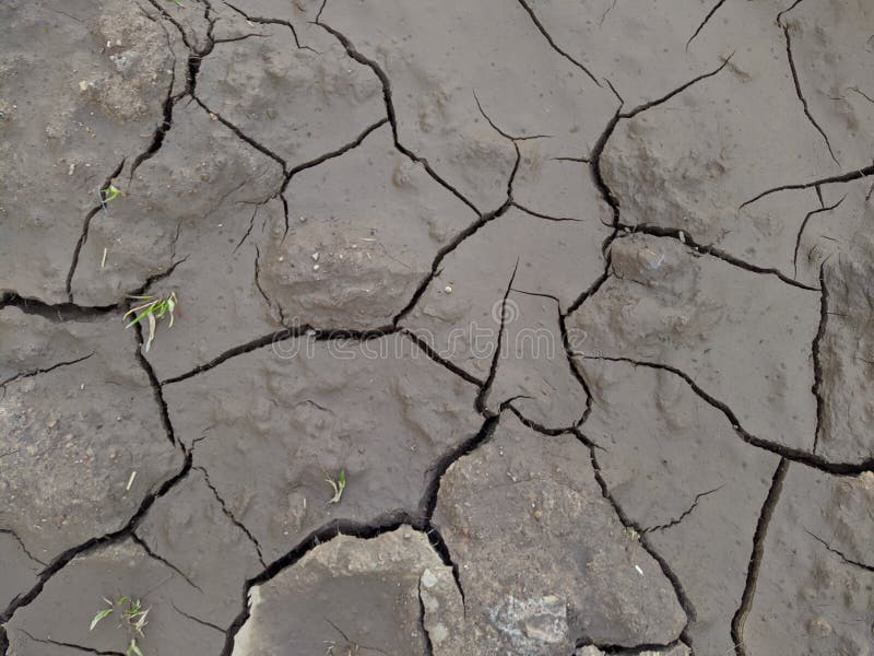 Dried Mud with Cracks Closeup Photo Texture and Background Stock Image ...