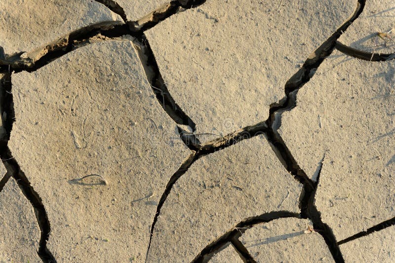 Dried mud stock photo. Image of land, pattern, rock, desert - 39045018