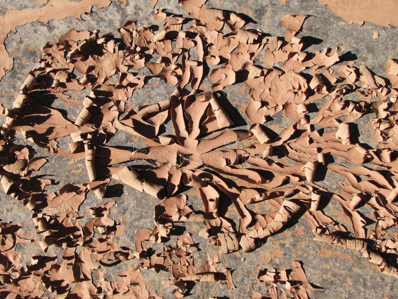 Dried mud flakes stock image. Image of peeling, dried - 16601721