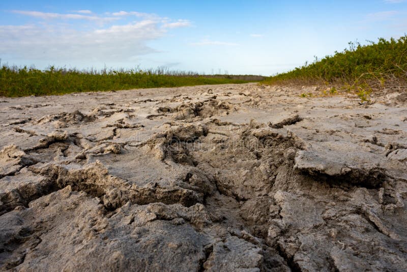 665 Swamp Pit Stock Photos - Free & Royalty-Free Stock Photos from ...