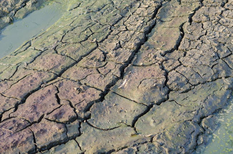 A Dried Puddle, Drought Desert Stock Image - Image of flower, white ...