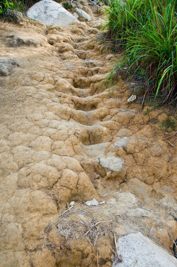 Steps into muddy ocean stock image. Image of muddy, storm - 16064101