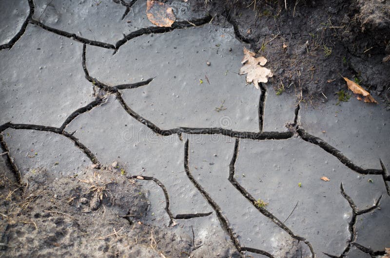 Dried mud track stock photo. Image of damage, bare, dirty - 63788368