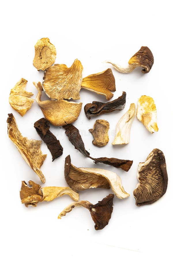 Dried Mushrooms on a White Background. Dried Mushroom Mixture Isolated ...