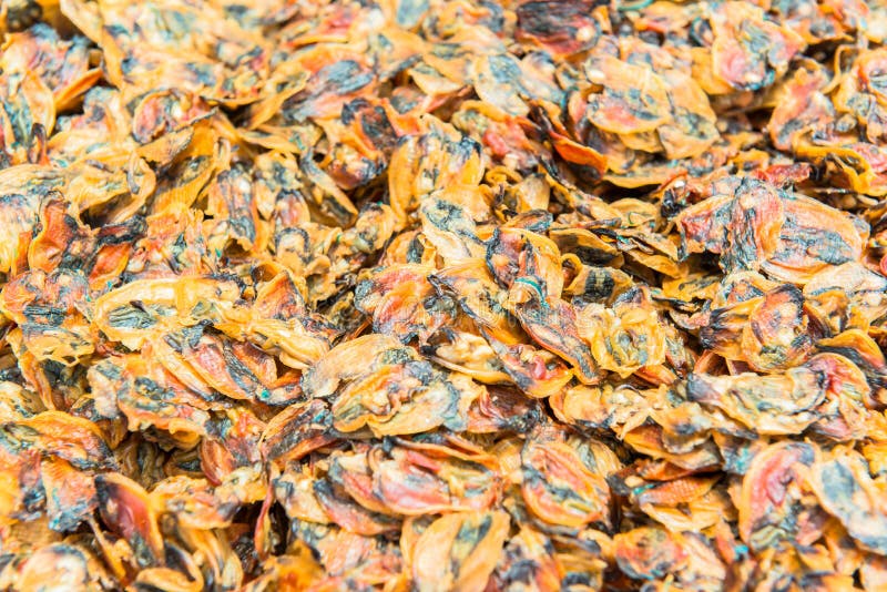 Dried Mussels on the Market Stock Photo - Image of fishery, detail ...