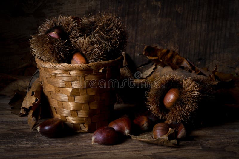 Dry chestnuts on basket stock photo. Image of leaves - 104123144