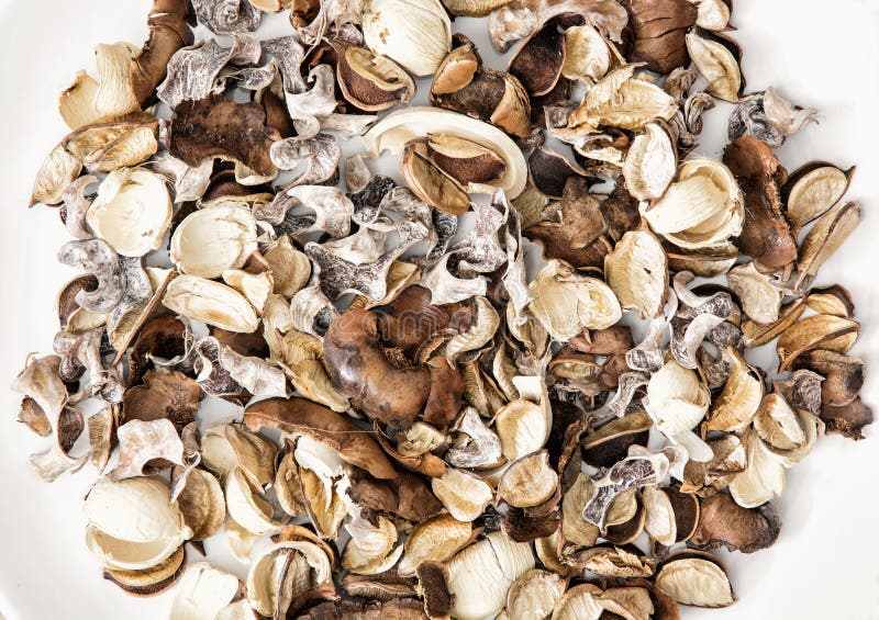 Dried natural decoration stock image. Image of leaf, closeup - 71558857