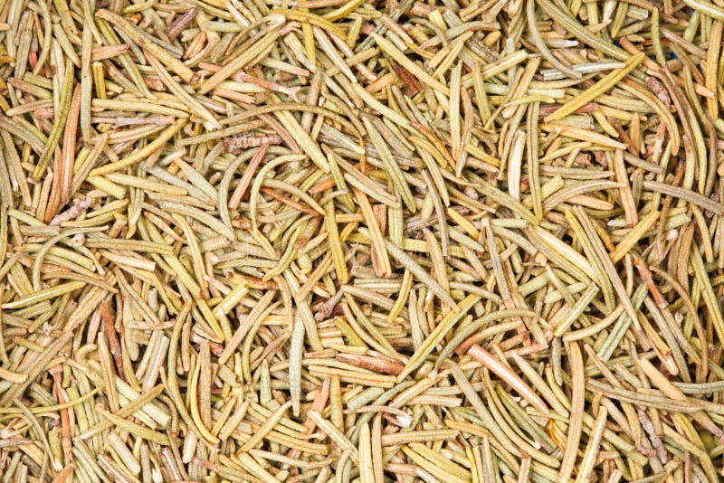 Dried Natural Rosemary Close-up As Background Texture. Stock Image ...
