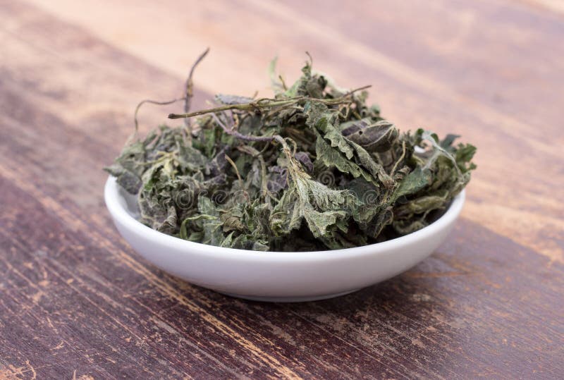 Dried nettle leaves stock image. Image of porcelain, health - 92725739