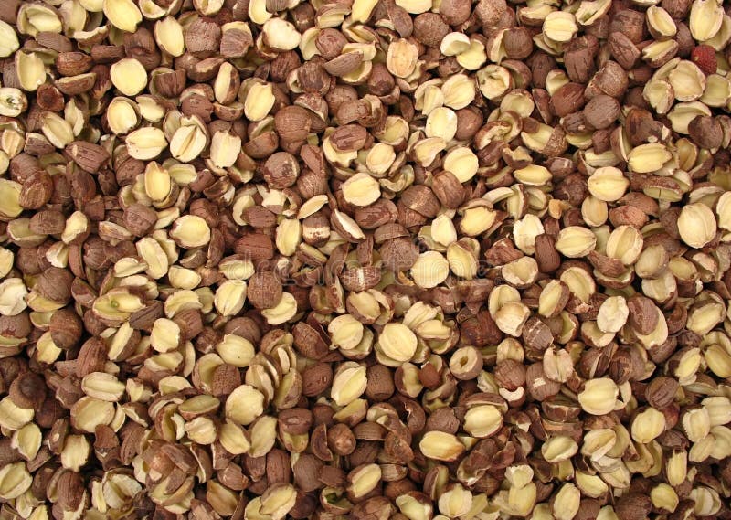 Dried Nuts from Chinese Market Stock Image - Image of nuts, legume: 1443735