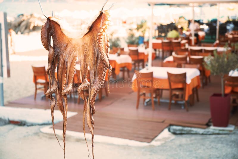 Octopus drying stock photo. Image of delicious, island - 118501576