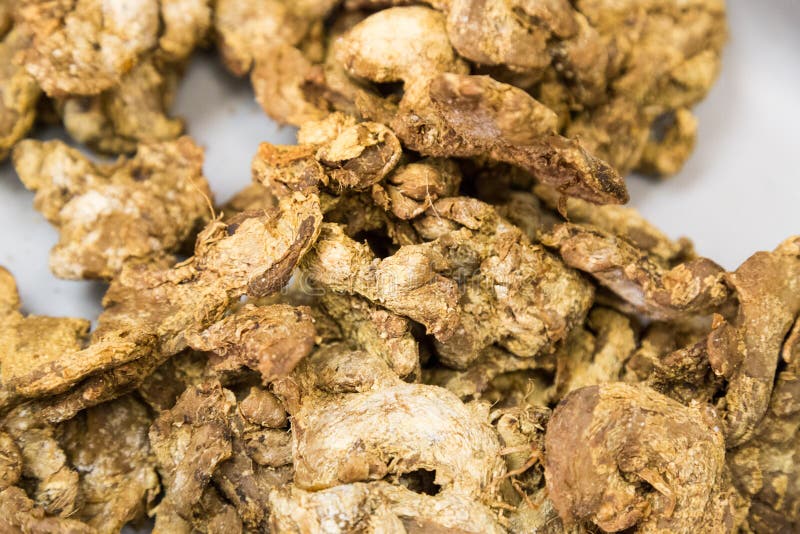 Dried Old Ginger Beneficial for Health Stock Image - Image of ...
